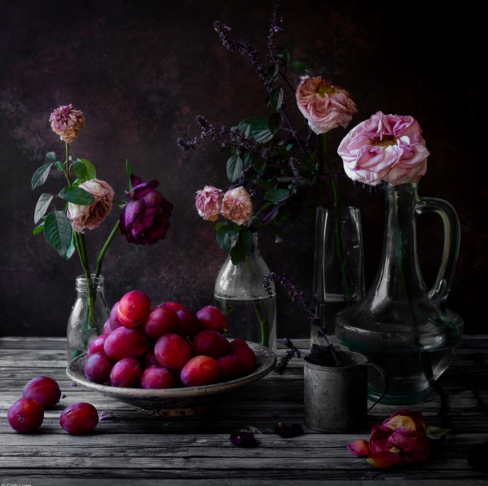 World Food Photography Awards 2025 Shortlist - Claire Aho Award