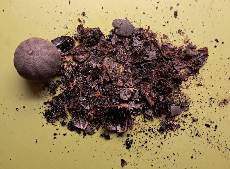 Lugma Book Review - Antonia Lloyd reviews Noor Murad's book